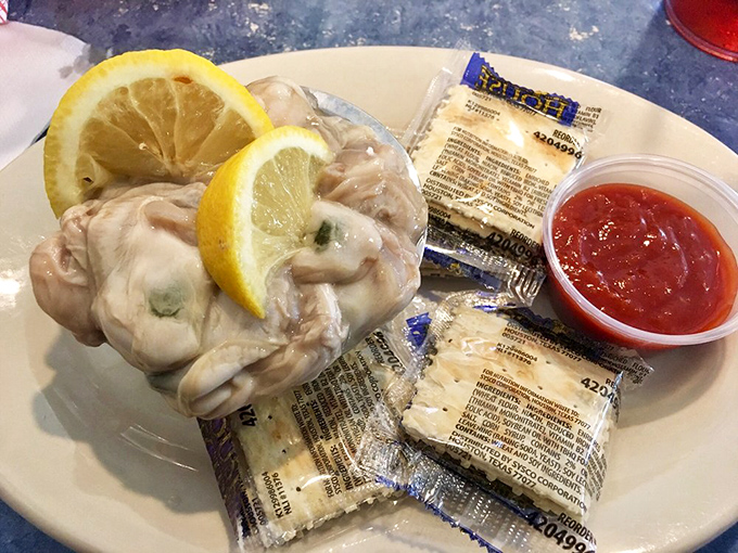 Nature's perfect appetizer: briny, delicate oysters ready for a squeeze of lemon and a moment of quiet appreciation.