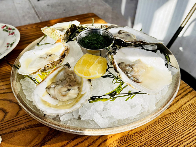 Fresh oysters on ice&mdash;nature's perfect appetizer. These briny treasures need nothing more than a squeeze of lemon and perhaps a moment of silence before slurping.