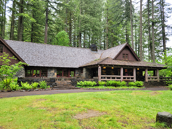 The historic CCC-built lodge stands as a testament to craftsmanship, where massive timbers and local stone create a shelter that feels both rugged and welcoming.