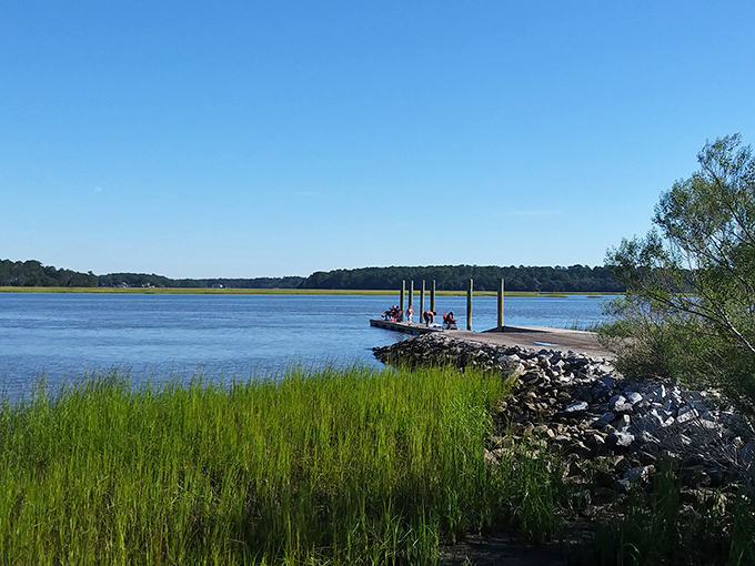 The simple wooden dock extends like an invitation into the marsh, where spartina grass whispers secrets of the tides to those who listen.