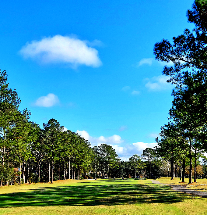 Golf courses are a dime a dozen, but playing at Quail Creek feels like you've stumbled into a pristine nature preserve that happens to have flags and holes.