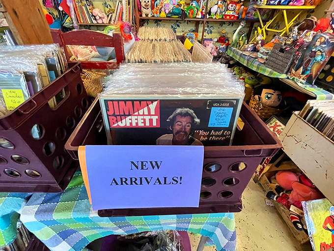 Jimmy Buffett's smiling face among "New Arrivals" proves that one generation's album collection eventually becomes another's nostalgic discovery.