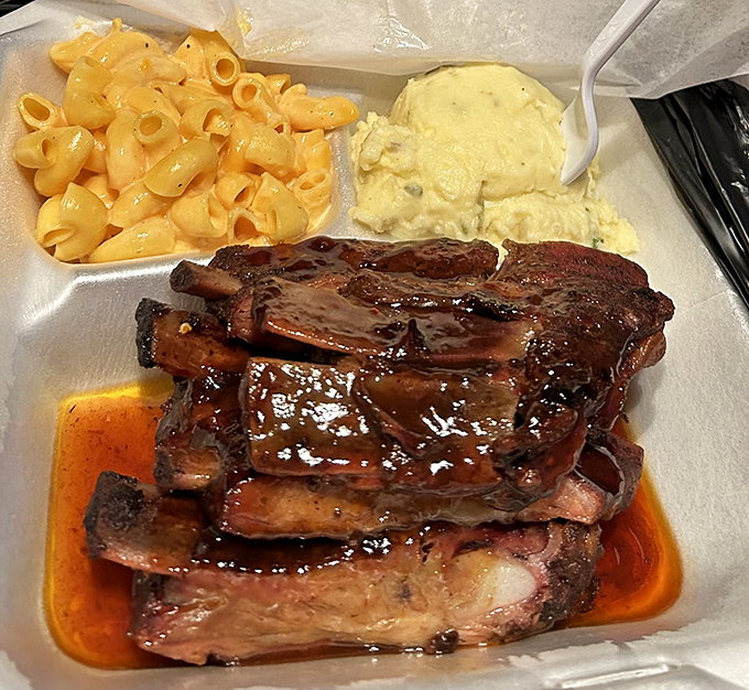 Ribs arranged like a meaty deck of cards, ready to play a winning hand of flavor. The mac and cheese is just showing off at this point.