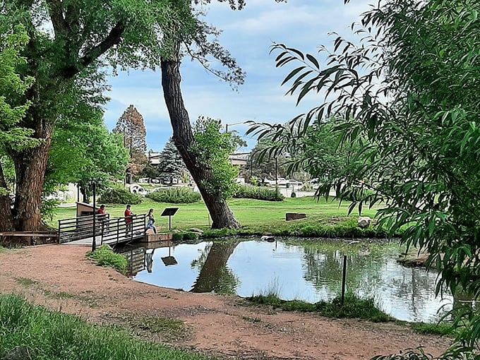 Schryver Park offers that perfect "exhale moment" where nature and civilization agree to share custody of your afternoon.