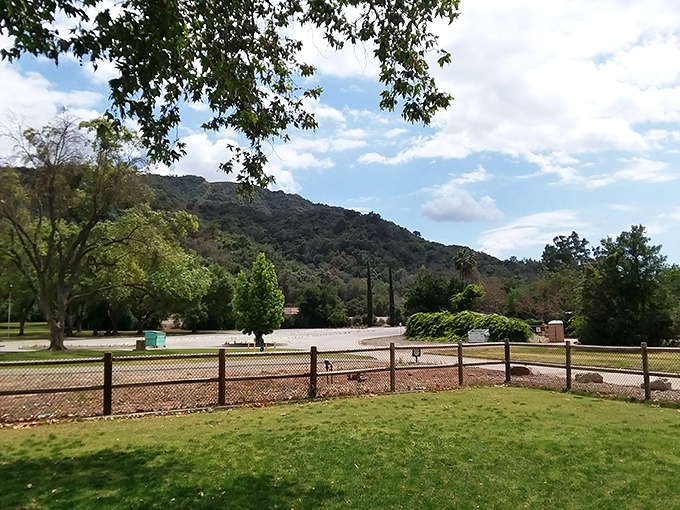 Soule Park offers that quintessential California experience—where else can you picnic beneath oak trees while gazing at mountains that look like they were painted as a backdrop?