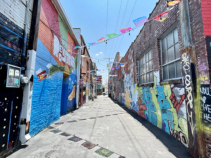 The Art Alley explodes with color and creativity, transforming ordinary brick walls into an outdoor gallery that rivals anything in Brooklyn or Austin.