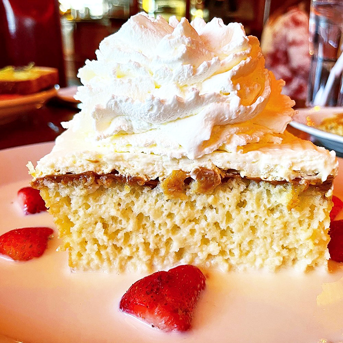 This tres leches cake isn't just moist&mdash;it's practically aquatic. The cloud of whipped cream on top is where dessert dreams are born.