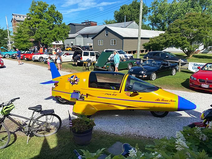 This cream and tan 1930s beauty with its butterfly doors open resembles a mechanical butterfly ready to take flight into automotive history. 