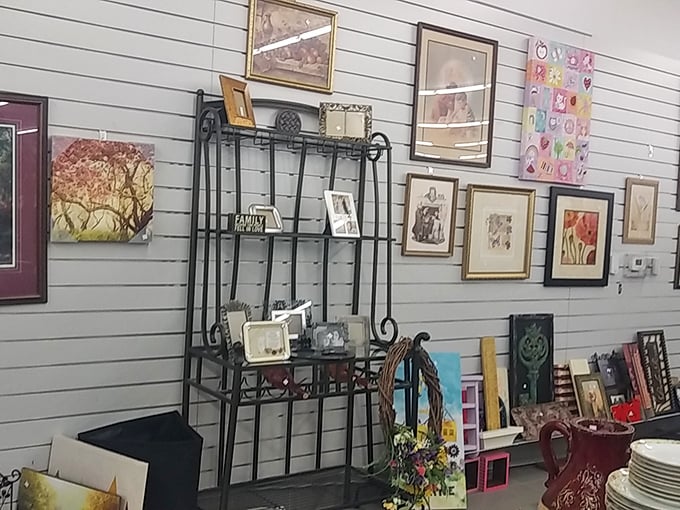 The wall of frames offers instant home gallery potential—buy for the frame, keep the art as a bonus conversation starter.