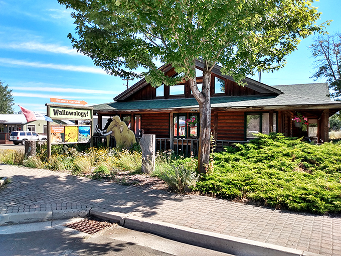 Wallowology Discovery Center&mdash;where a life-sized mammoth guards the entrance, offering a not-so-subtle hint at the natural wonders waiting inside.