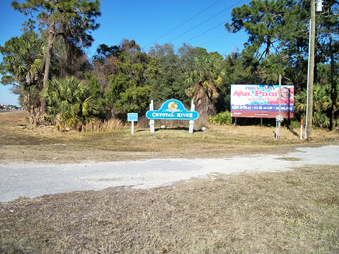"Welcome to Crystal River" &ndash; the cheerful blue sign greets visitors at the town limits. No fancy billboards needed when natural wonders await just beyond.