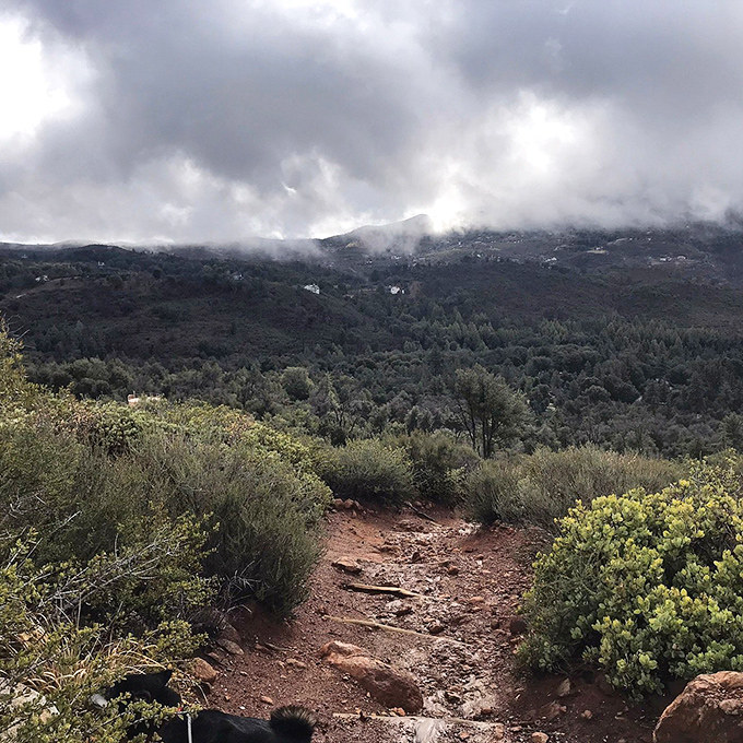 Misty mountain trails at William Heise County Park offer hikers a dramatic backdrop worthy of a fantasy film, minus the orcs.
