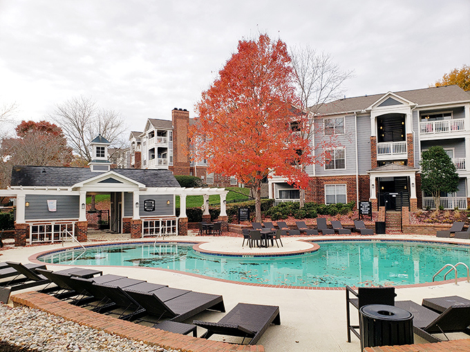 Even Franklin's modern accommodations embrace seasonal beauty &ndash; where autumn foliage competes with pool waters for the most vibrant splash of color.