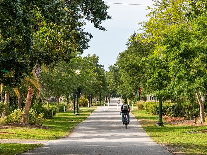 The Pinellas Trail cuts through Dunedin like a ribbon of freedom, offering cyclists and walkers a car-free paradise beneath a canopy of Florida greenery.