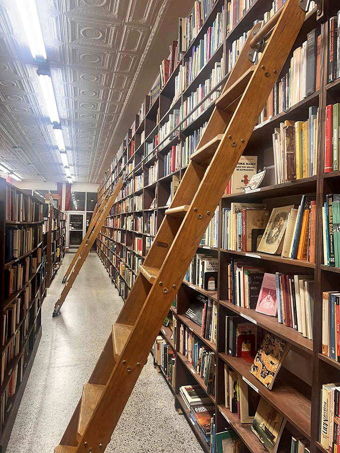 Wooden ladders that would make Belle from Beauty and the Beast swoon. Reaching the topmost shelves feels like a treasure hunt with altitude.