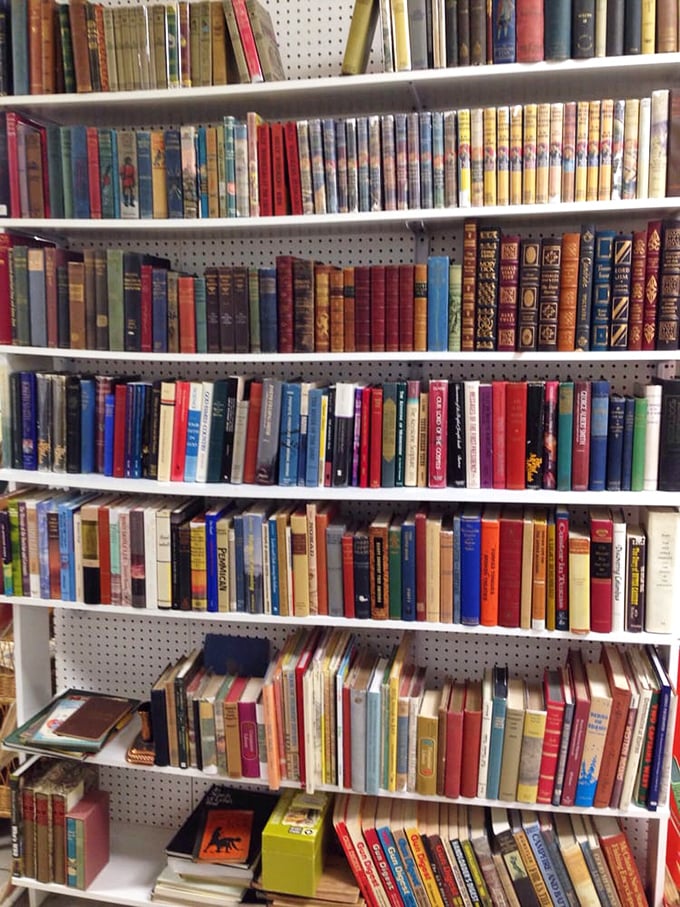 An entire library waits to be discovered, where first editions and forgotten classics live together like literary roommates from different centuries.