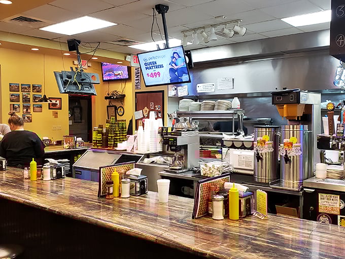 Behind this counter, breakfast magic happens. The open kitchen design means you can watch your morning masterpiece come to life.