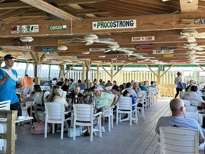 The waterfront deck where strangers become friends, united by the universal language of "pass the tartar sauce, please."