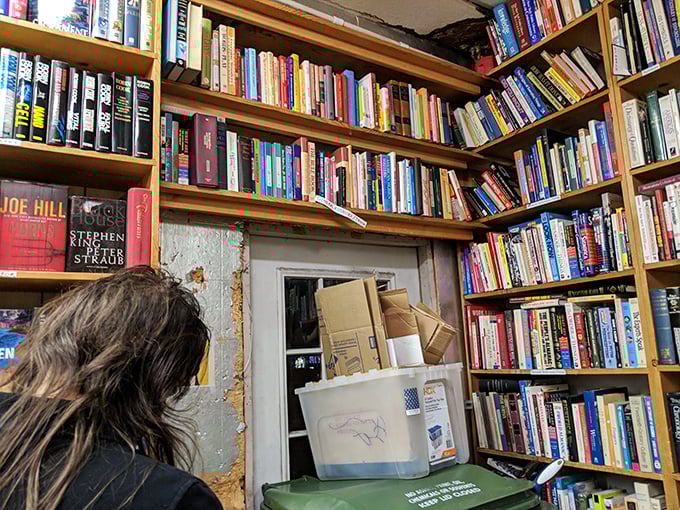 In the horror section, Stephen King shares shelf space with Joe Hill, a family reunion of literary nightmares. Something for everyone who enjoys sleeping with lights on.