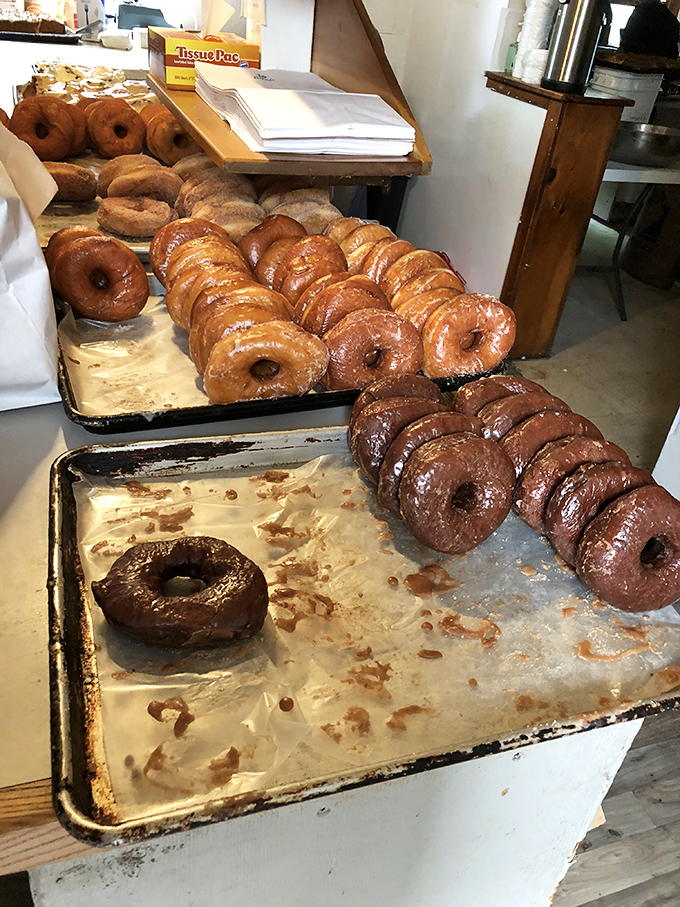 Donut production line that would make Henry Ford weep with joy. The difference? Every single one of these is handcrafted without a robot in sight.