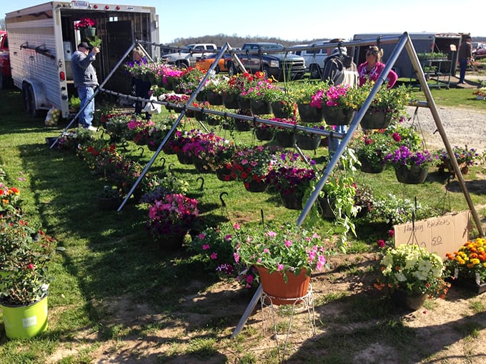 Flower power in full effect! These blooms bring more color than that tie-dye shirt hiding in the back of your closet.