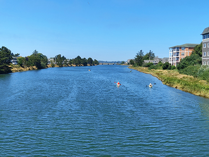 The kind of waterway that makes you immediately regret not bringing a kayak. Calm waters practically begging for gentle exploration.