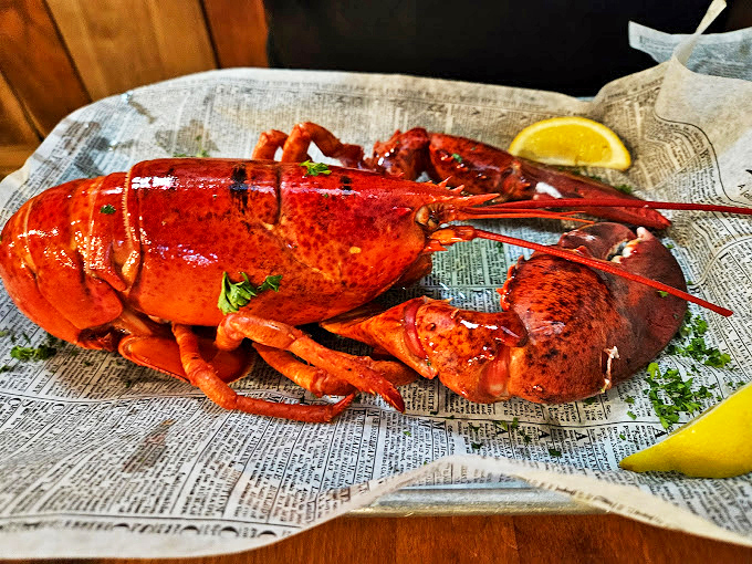 A whole lobster, resplendent in its crimson armor, awaits its lucky recipient. This magnificent crustacean traveled further to reach your table than most people do on vacation.