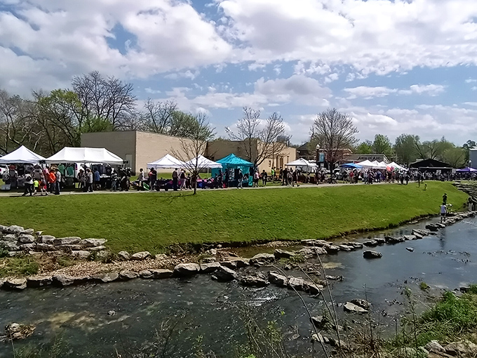 Festival day transforms riverside parks into bustling marketplaces where local artisans and farmers create the kind of authentic scene you can't manufacture.