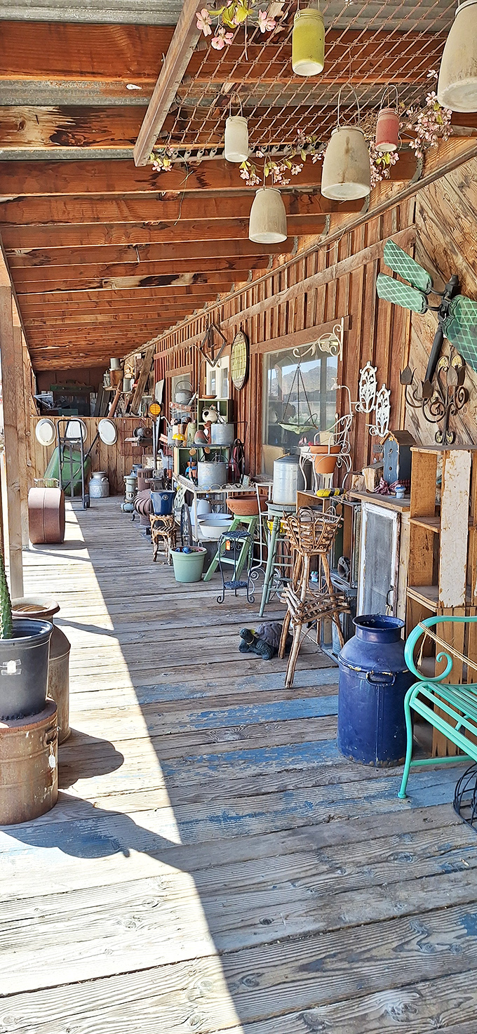 Sunshine streams through this outdoor treasure corridor where garden artifacts await adoption. One person's rusty milk can is another's perfect patio accent.
