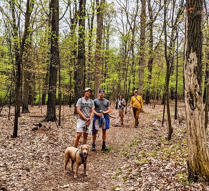 The hiking committee convenes for their weekly "which trail looks least like exercise" debate. The dog, clearly, has the deciding vote.