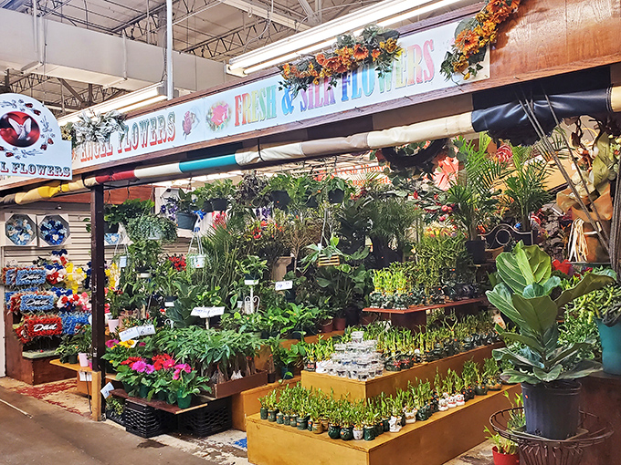 A jungle of houseplants waiting to transform your home&mdash;or slowly die there, depending on your green thumb status. Hope springs eternal in the plant section.