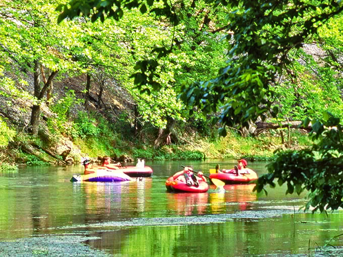 Nothing says "I'm officially on vacation" quite like floating down a crystal-clear Ozark river with nothing but blue skies and lazy thoughts.