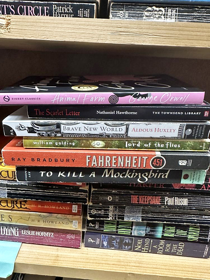 Classic literature stacked like a syllabus from the world's coolest professor. These paperback time machines await their next journey.