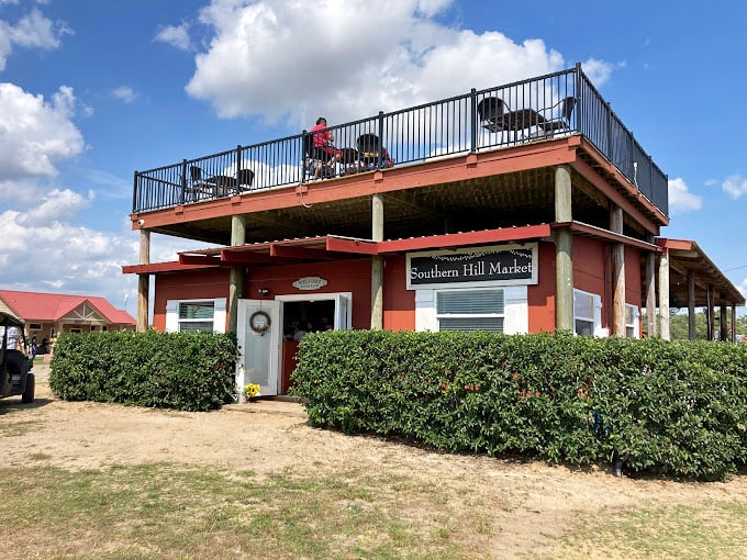 The market's rooftop patio offers visitors a bird's-eye view of the farmscape while enjoying farm-fresh treats below.