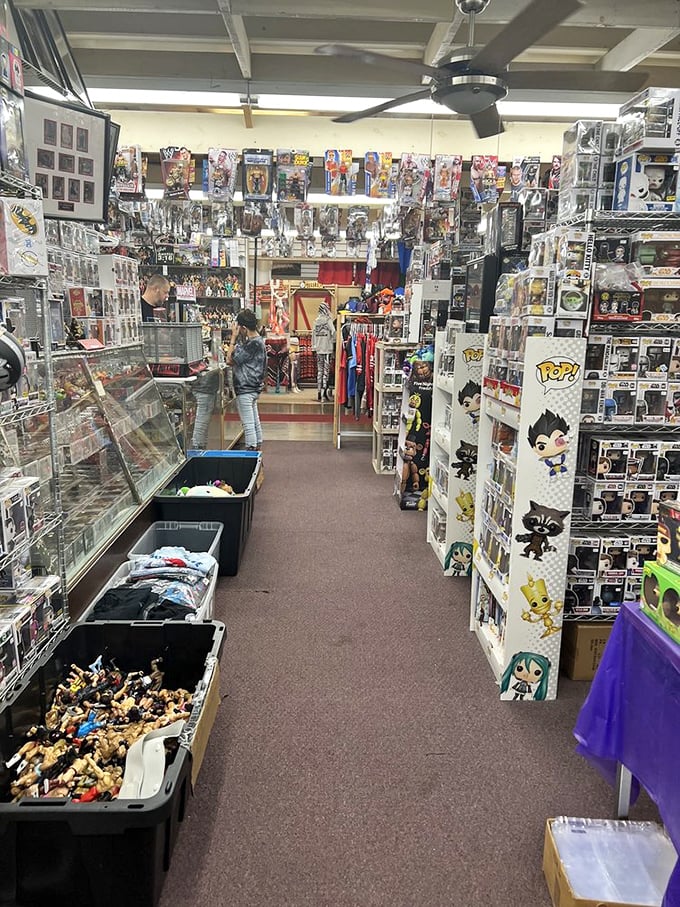 Action figure heaven where collectibles stand at attention behind glass, waiting for someone who appreciates their mint-condition superpowers.