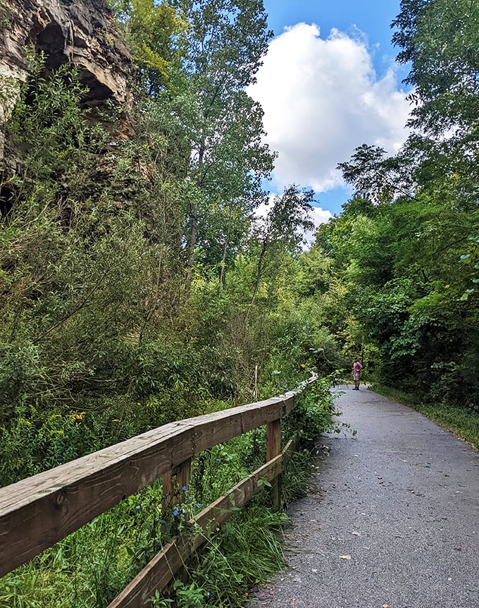 Riverview Trail offers a peaceful escape where limestone bluffs and lush greenery create the perfect backdrop for contemplating life's adventures, Twain-style.