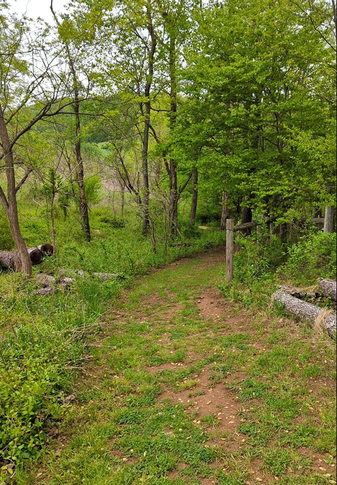 A peaceful trail that looks like something out of a Robert Frost poem. Take a walk, clear your mind, and see where the path leads&mdash;just maybe not in the dark.