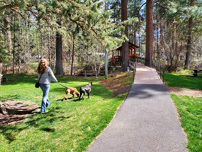 Walking paths wind through ponderosa pines, offering the perfect excuse to "accidentally" extend your Sisters visit by another day or three.