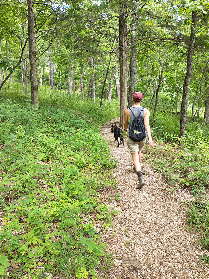 Hiking Meramec's trails with a four-legged companion&mdash;the best conversations sometimes happen without saying a single word.
