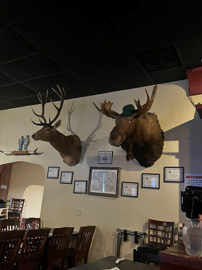 Where else can you dine under the watchful gaze of majestic wildlife? These mounted heads have seen generations of satisfied smiles.