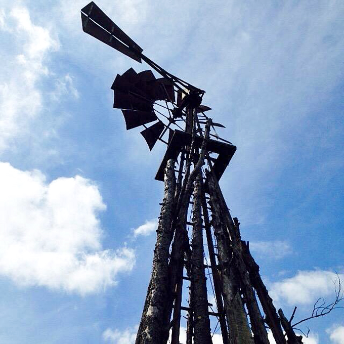 The vintage windmill reaches skyward, a rustic sentinel watching over the gardens since Dr. Bartlett's time.