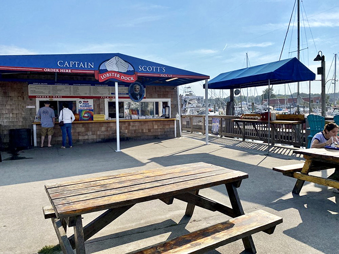 Captain Scott's open-air counter and picnic tables—where the only thing between you and seafood perfection is the time it takes to say "lobster roll."