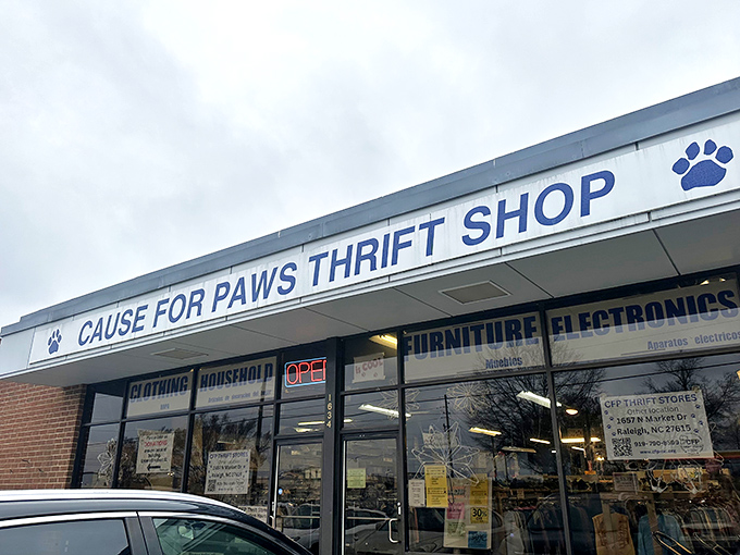 Cause for Paws combines two of life's greatest joys: finding incredible bargains and knowing you're helping furry friends.