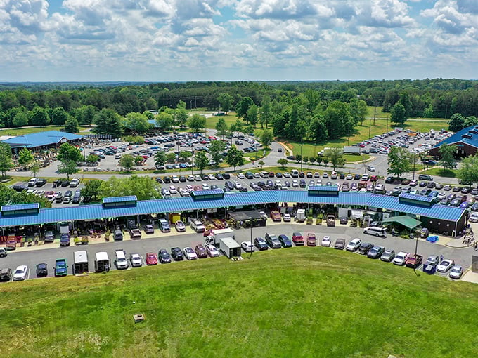Beyond just fruits and vegetables, this market offers a feast for all senses under Carolina's expansive skies.