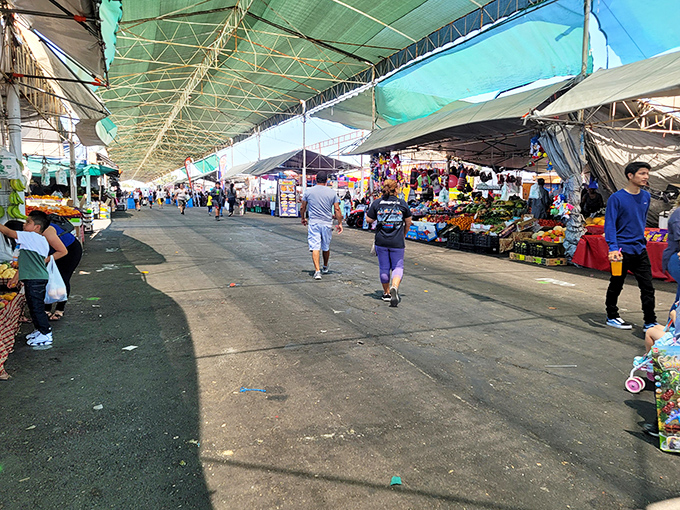 Stockton's answer to retail therapy! This sprawling market offers everything from fresh produce to forgotten treasures.