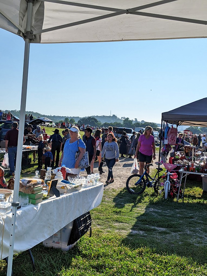 White's Farm Flea Market spreads across the landscape, drawing treasure hunters like magnets to a field of possibilities.
