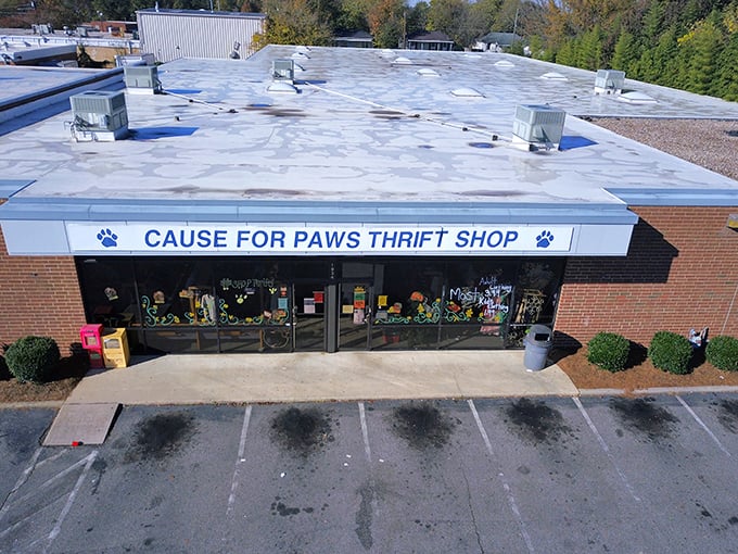 The neon "OPEN" sign might as well say "ADOPT" &ndash; both the merchandise and occasional four-legged ambassadors need homes.