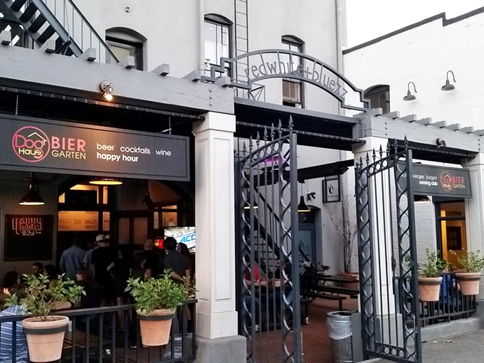 The stylish outdoor dining space elevates the humble hot dog experience from quick bite to leisurely indulgence.