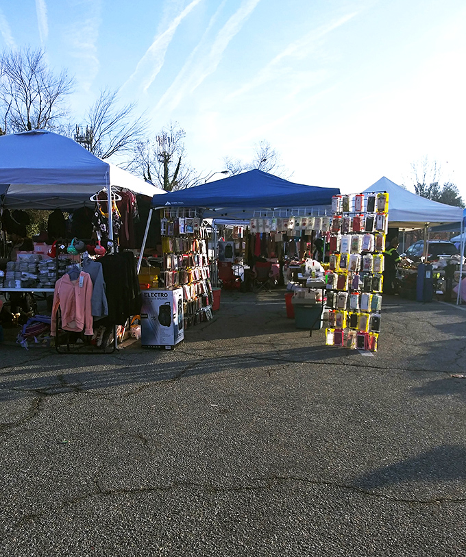 Canopies create a marketplace that feels both ancient and modern. Those phone cases sit just feet away from items your grandparents would recognize.