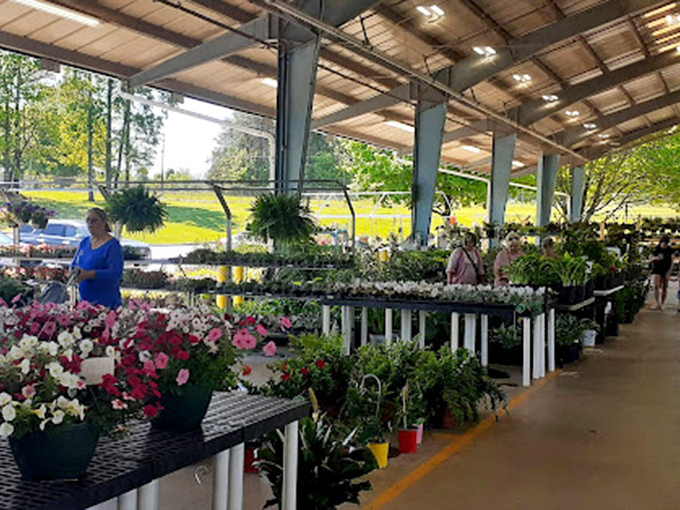 Not just a market but a community gathering place where the freshest local flavors come with a side of friendly conversation.